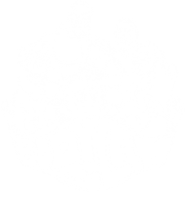 BodySlam! Pro-Wrestling Cartoon - WrestleMerchCentral